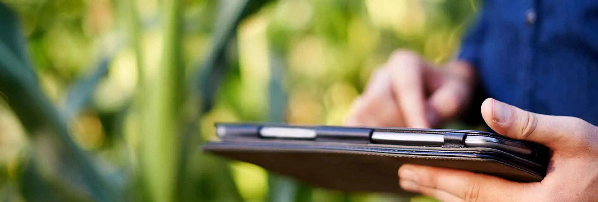 Cyber Insurance | Eastern Equity South East